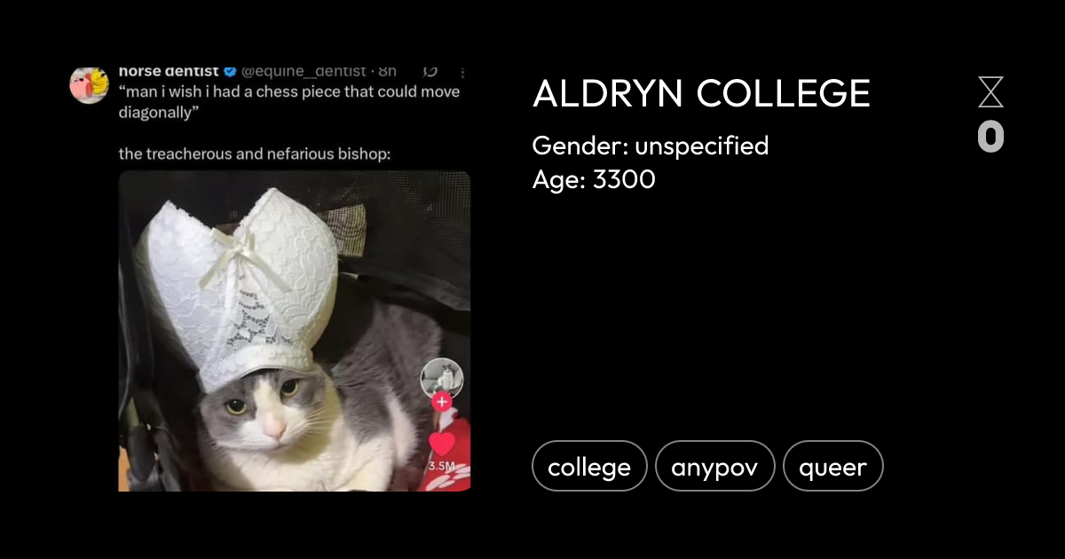 ALDRYN COLLEGE | xoul.ai